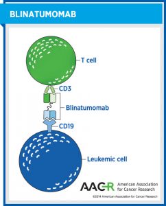 New Type of Cancer Immunotherapeutic Approved by FDA: What It Means for ...