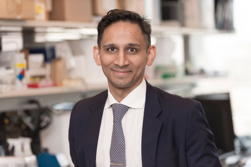 Learning From the Immune System of Long-term Pancreatic Cancer ...