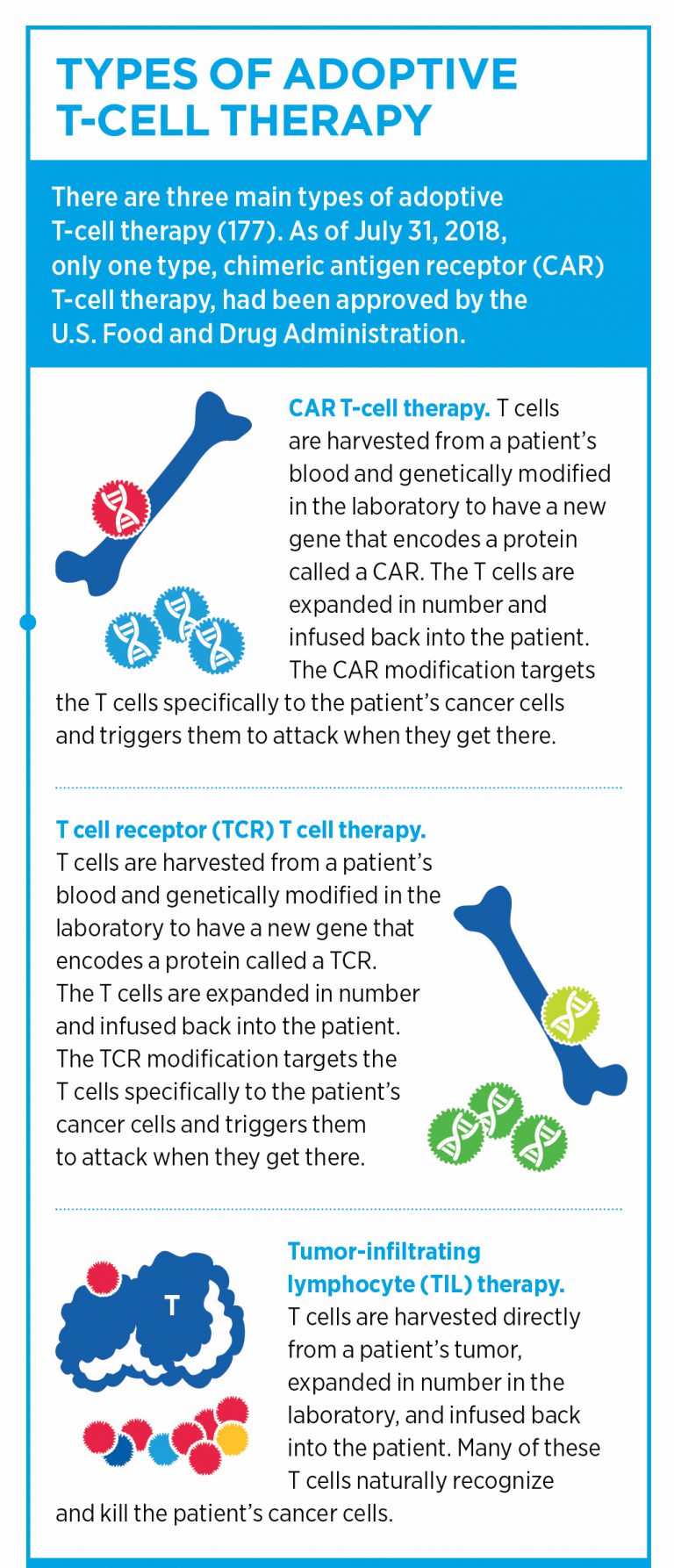 Tumor-infiltrating Lymphocyte Therapy Explained | AACR Blog