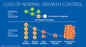 What Is Cancer? | Patients and Caregivers | AACR