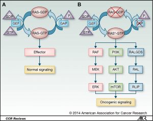 AACR Virtual Annual Meeting I: Identifying and Targeting RAS Regulatory ...