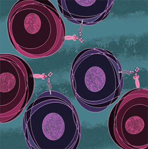 May Highlights from AACR Journals - American Association for Cancer ...