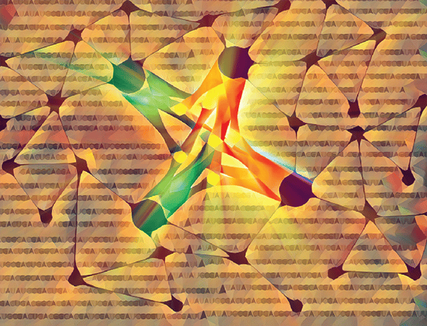 Editors Share Highlights from September Issues of AACR Journals ...