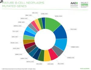 Mature B Cell Cancer - American Association for Cancer Research (AACR)