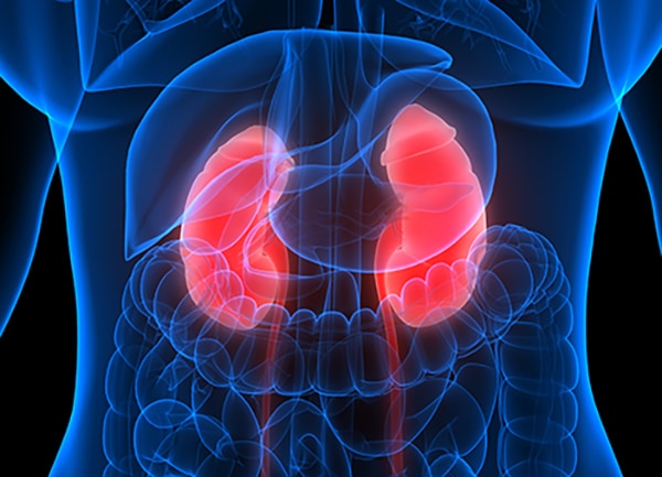 Q&A With M. Celeste Simon, PhD, FAACR, on Advances in Kidney Cancer ...