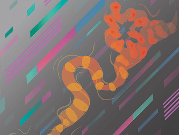 Editors’ Picks: July Highlights From AACR Journals - American Association for Cancer Research (AACR)