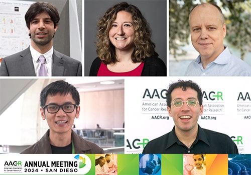 AACR Annual Meeting: CAR Tregs, Bacteria-virus Duos, and More