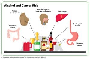 How Does Alcohol Consumption Impact Cancer Risk? | Blog | AACR